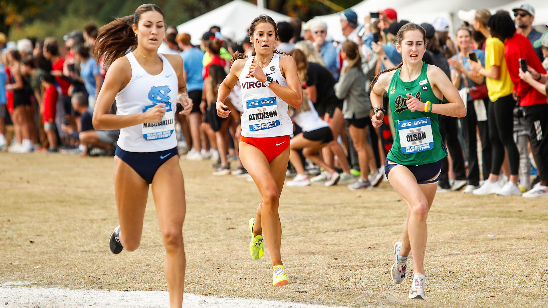 Virginia Cross Country Regionals Ready - Virginia Cavaliers Official ...