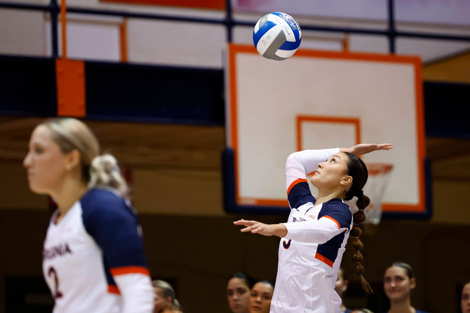 Volleyball vs MTSU: Photo Gallery – Virginia Cavaliers Official ...