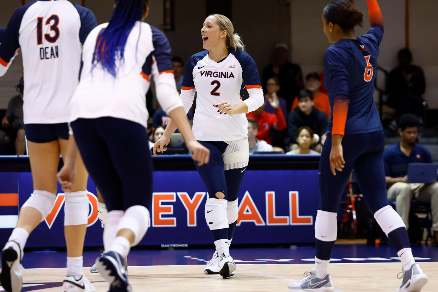 Volleyball vs MTSU: Photo Gallery – Virginia Cavaliers Official ...