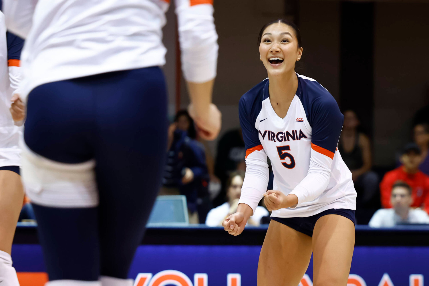 Volleyball vs MTSU: Photo Gallery – Virginia Cavaliers Official ...