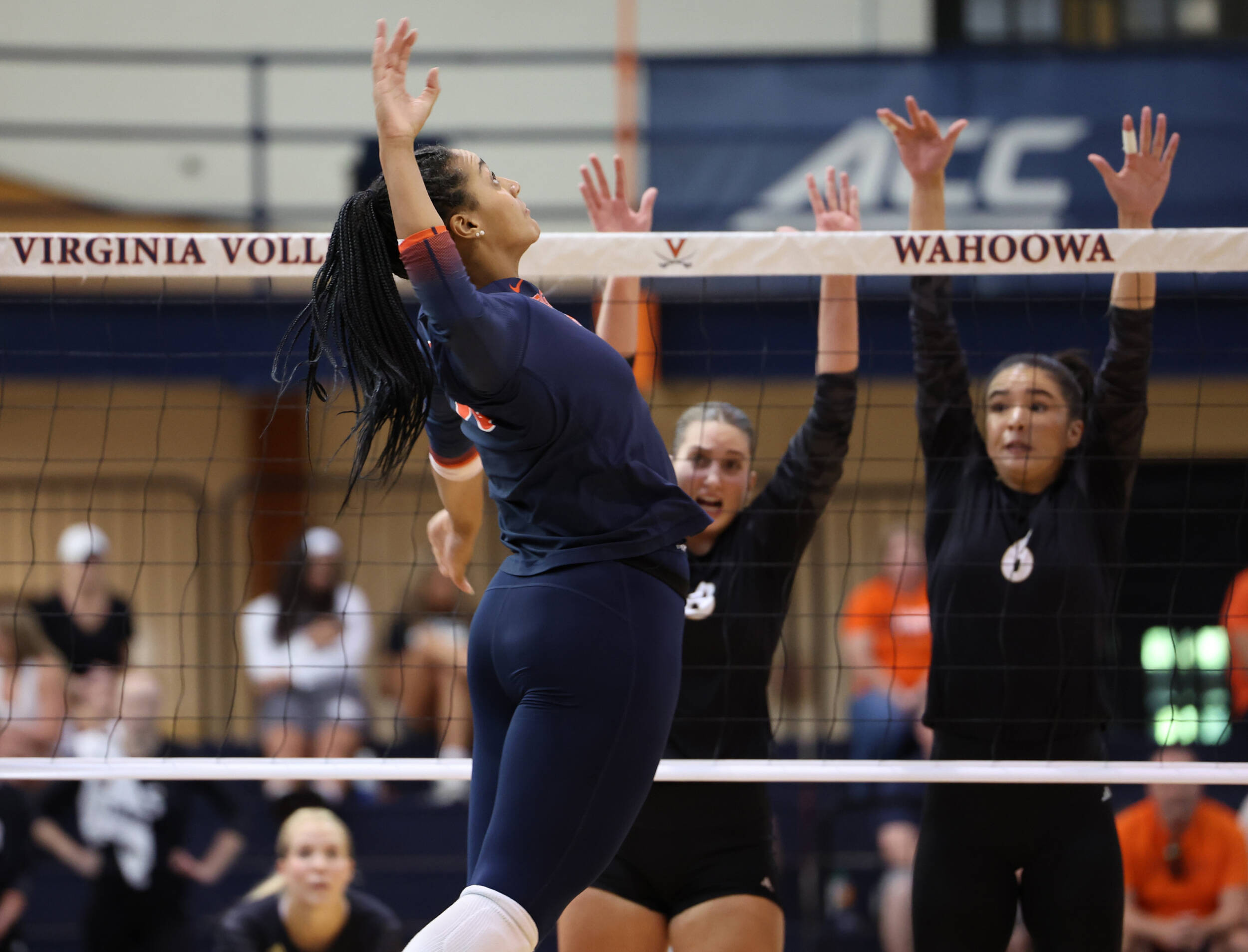 Photo Album: UVA Volleyball vs. Wofford – Virginia Cavaliers Official ...