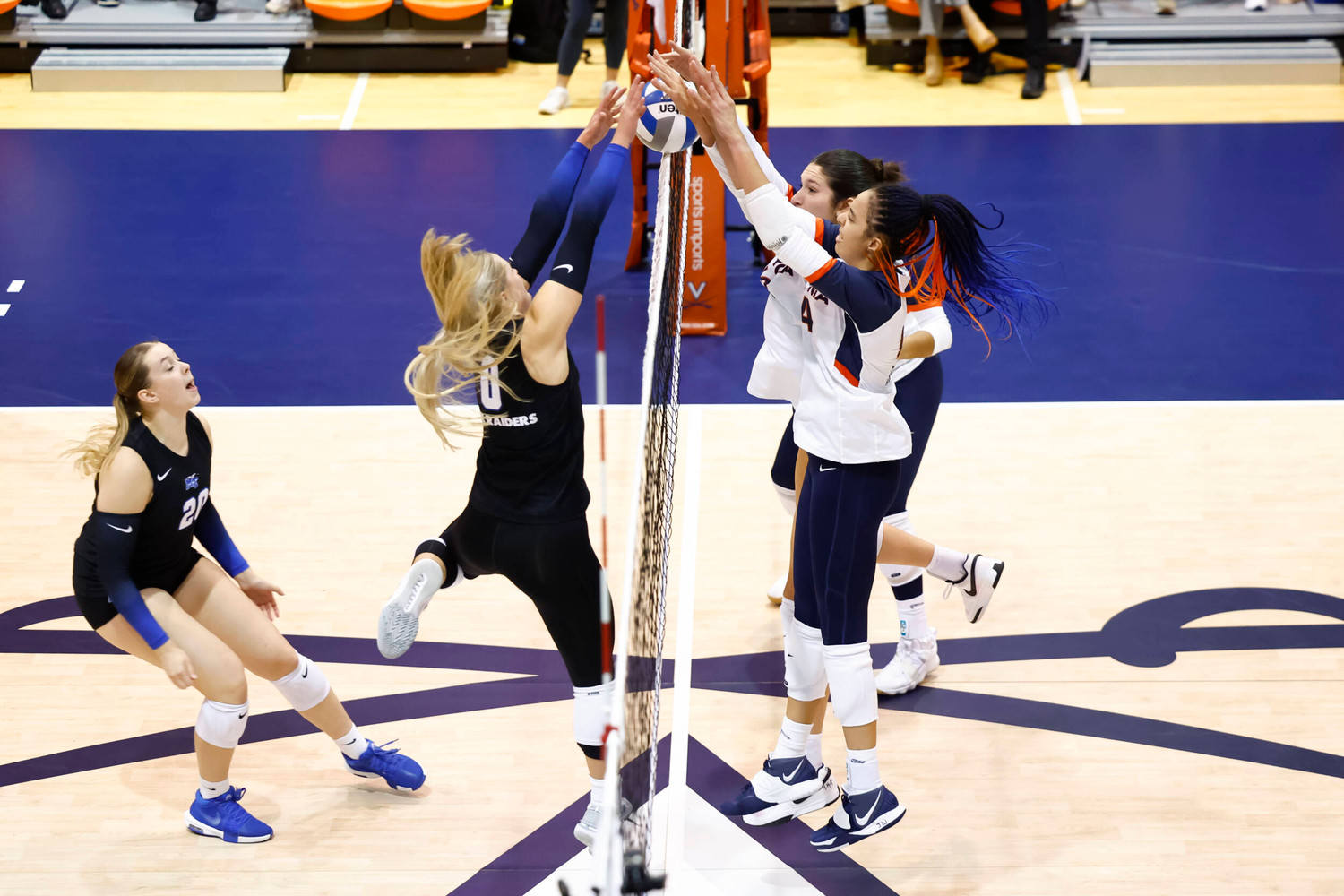 Volleyball vs MTSU: Photo Gallery – Virginia Cavaliers Official ...