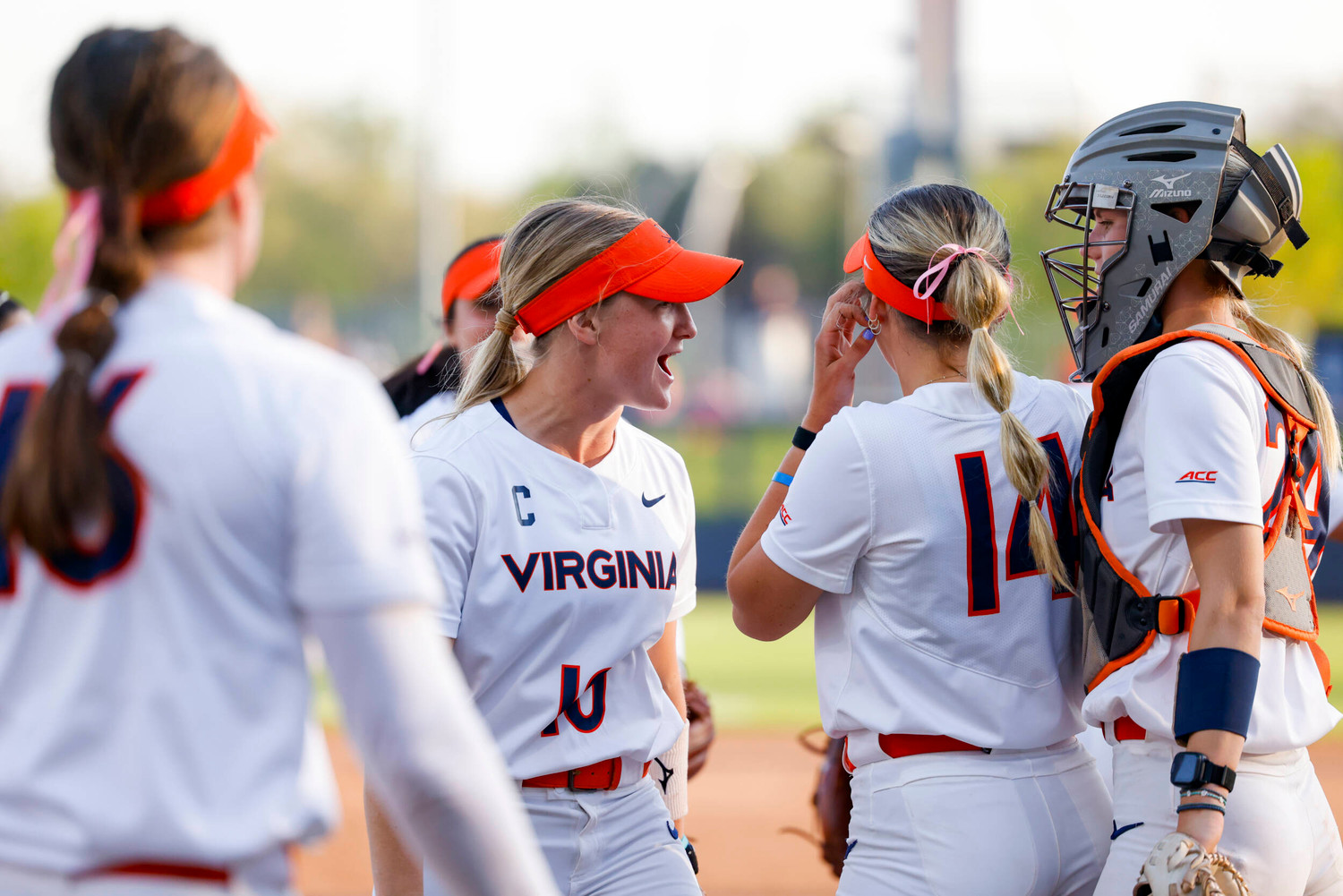 Softball vs Louisville: Photo Gallery – Virginia Cavaliers Official ...