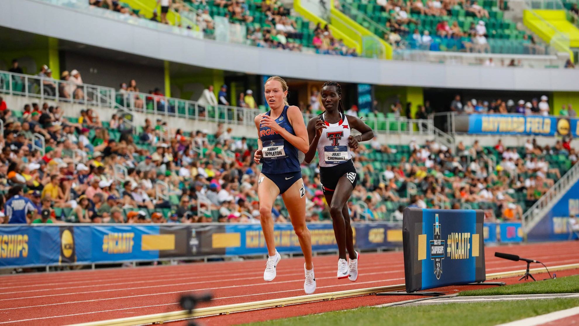 Appleton Earns First Team All-American Honors on Final Day of NCAA ...