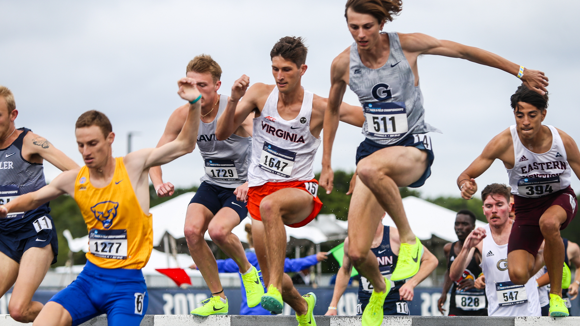 NCAA Championships on Deck for Virginia - Virginia Cavaliers Official ...