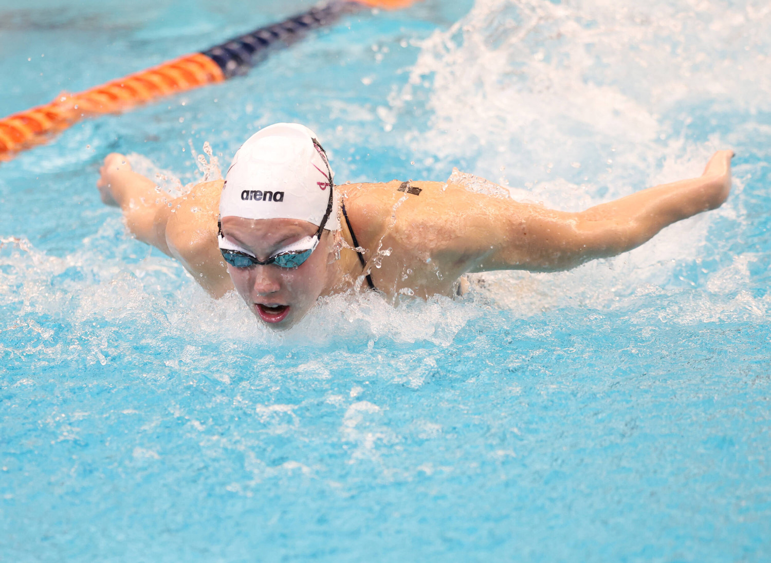 Photo Album: UVA Swimming vs. Texas – Virginia Cavaliers Official Athletic Site