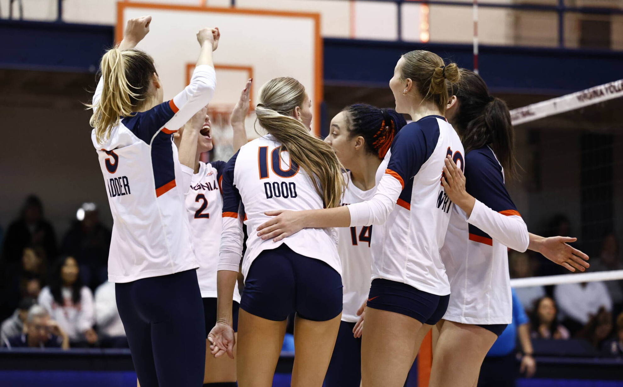 Virginia Earns Bid To National Invitational Volleyball Championship ...