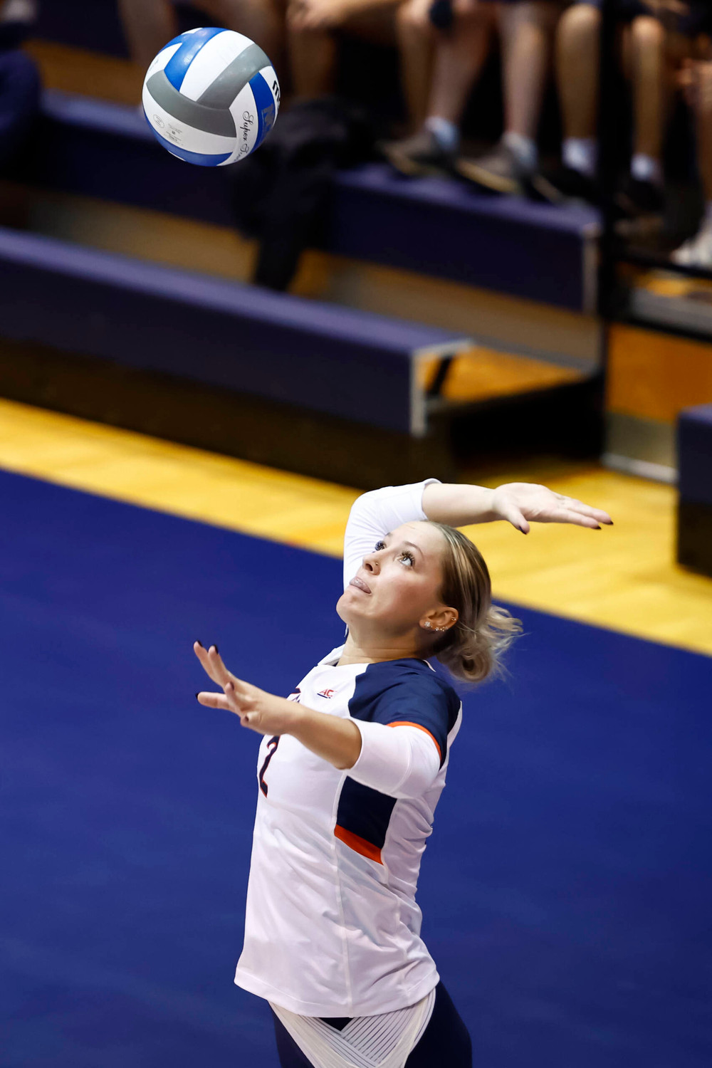 Volleyball vs MTSU: Photo Gallery – Virginia Cavaliers Official ...
